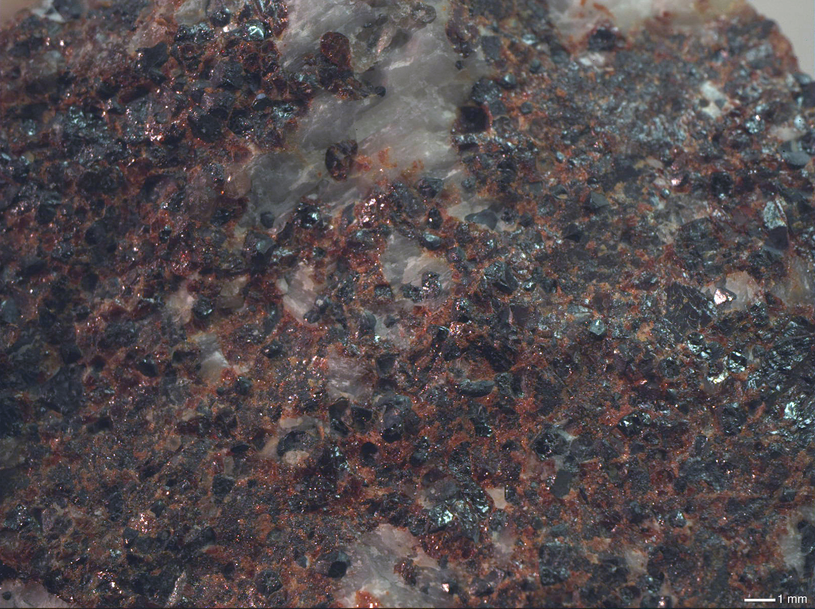 MSL MAHLI Pre-Launch Images